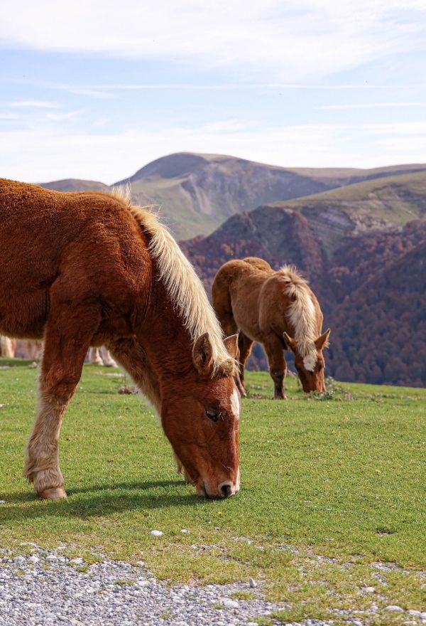 Pyrenees & Basque Country - Ultimate Drives